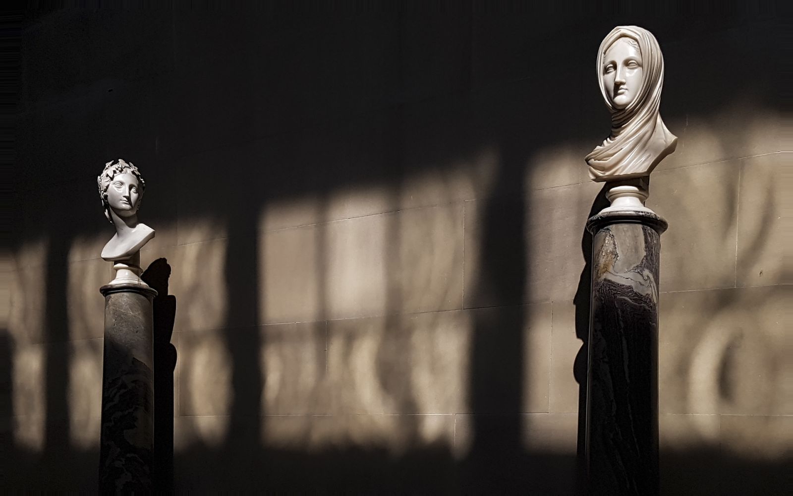 Mike Lester Photography