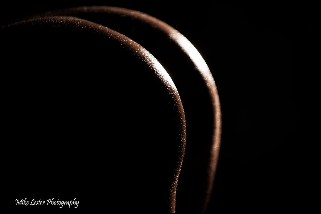 Introduction to Bodyscape – Group Workshop » Mike Lester Photography